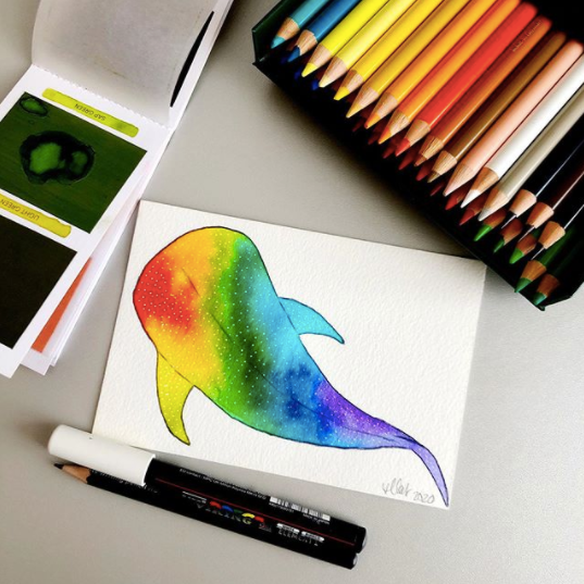 Rainbow Whale Shark – Hatchling Makes