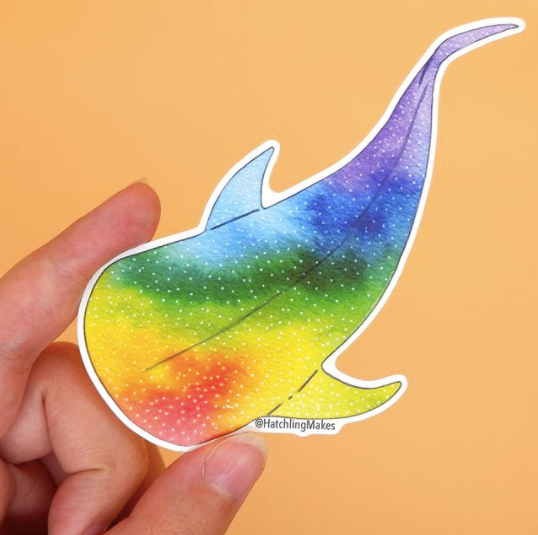 International Whale Shark Day – Hatchling Makes