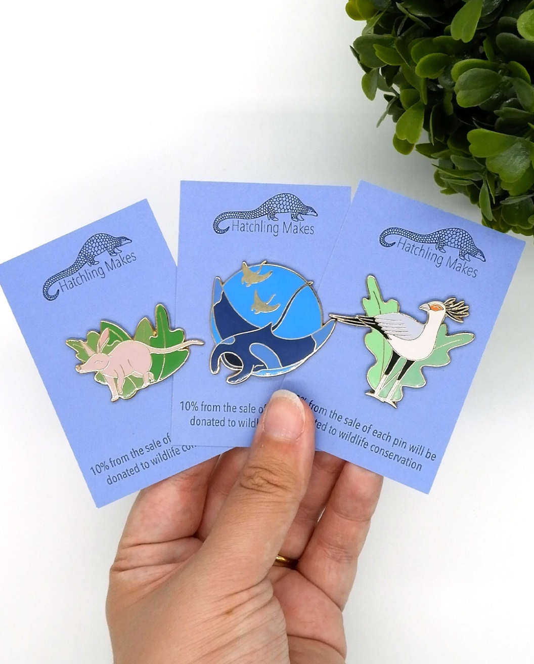 Blue backing cards? – Hatchling Makes