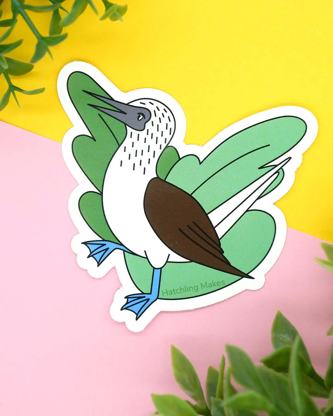 Blue Footed Booby Dancing Vinyl Sticker – Hatchling Makes