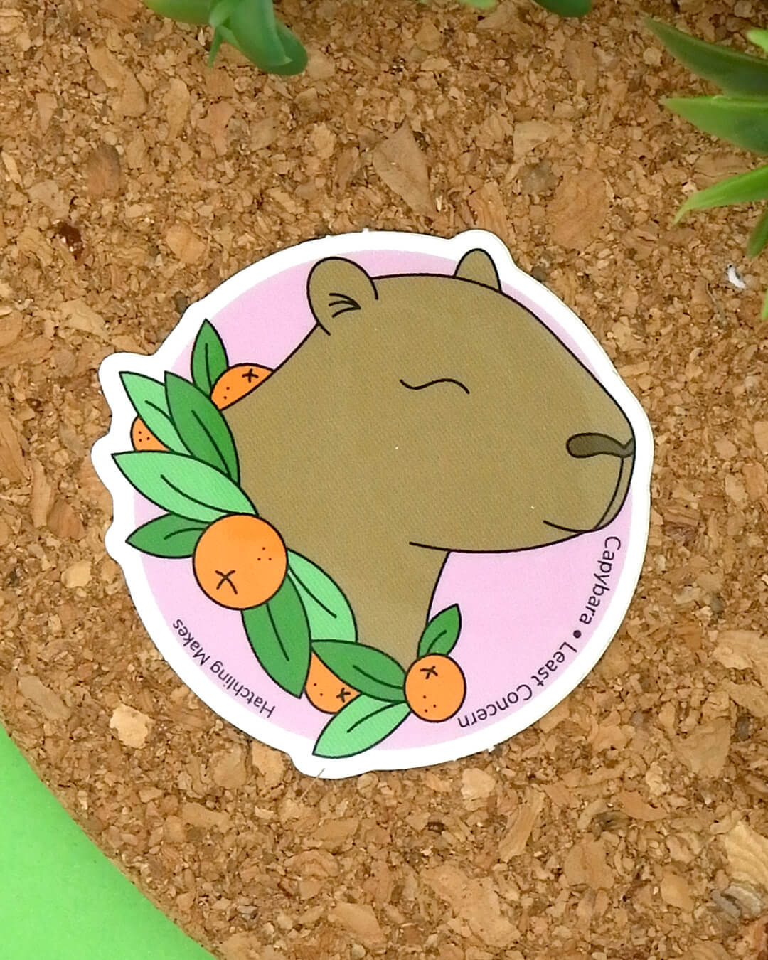 Capybara Mini Vinyl Sticker – Hatchling Makes