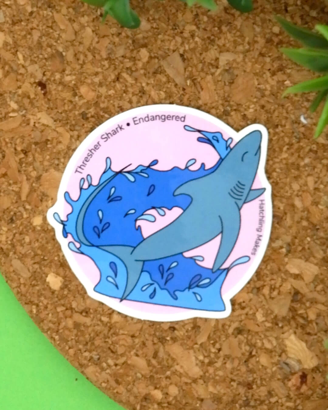 Thresher Shark Mini Vinyl Sticker – Hatchling Makes