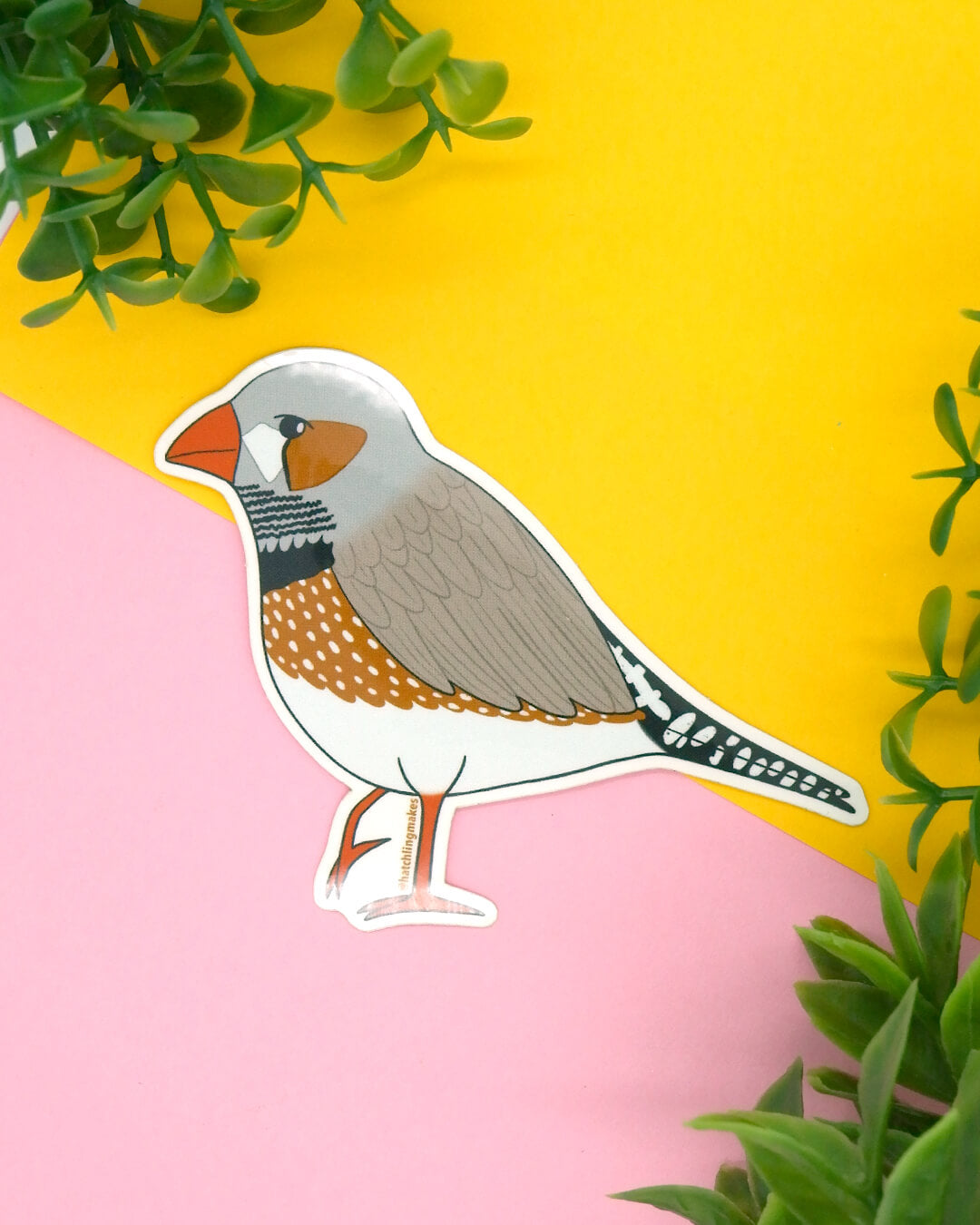 Zebra Finch Vinyl Sticker – Hatchling Makes